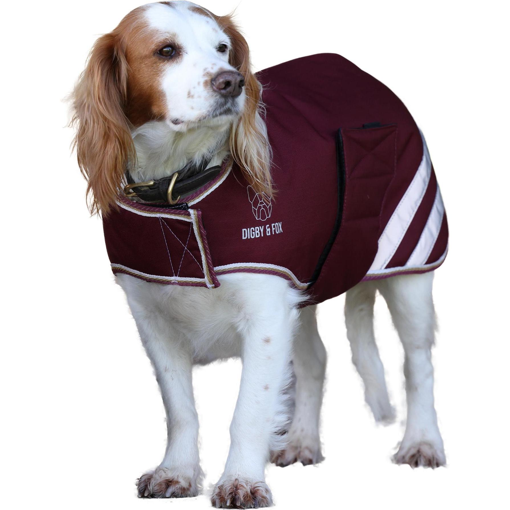 Digby & Fox Hundemantel Logo Wasserfest - kaufen bei Galaxus