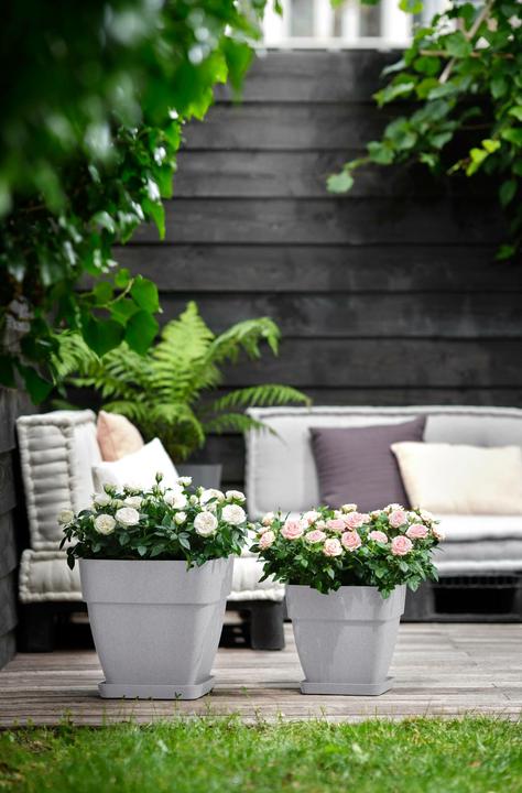 Elho Vibia Campana Quadrat - kaufen bei Galaxus