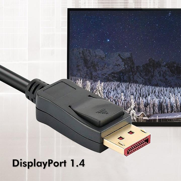 Techly DisplayPort — DisplayPort - kaufen bei Galaxus