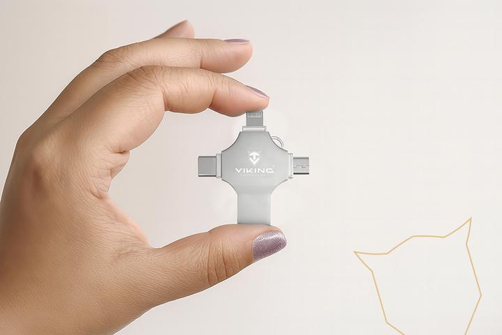 Viking USB Flash Disk, 1 S Koncovkou Apple Lightning, USB-C, Micro USB ...