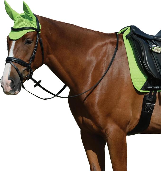 Weatherbeeta Prime Fliegenhaube - kaufen bei Galaxus