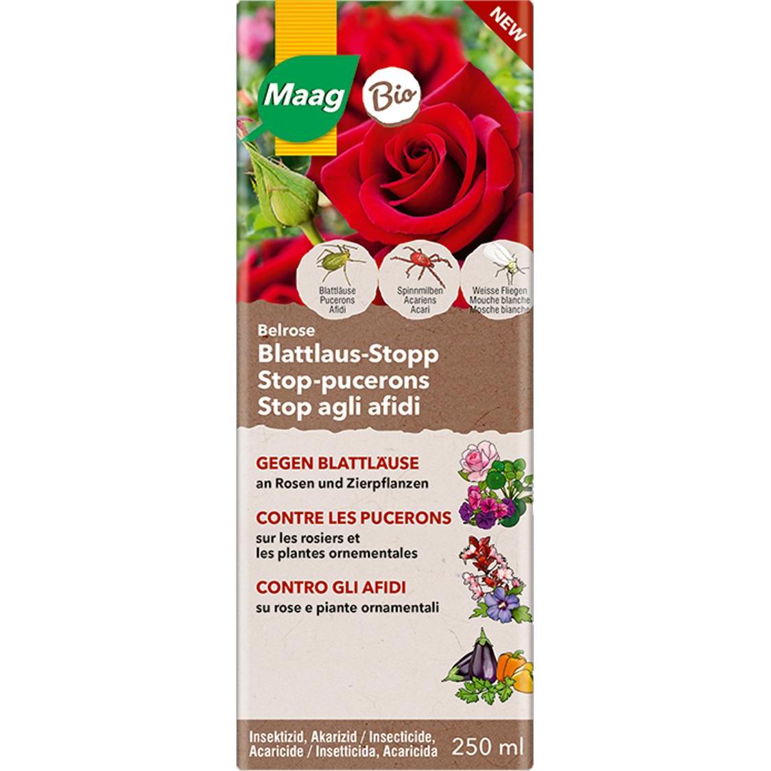Maag Belrose Blattlaus-Stopp - kaufen bei Galaxus