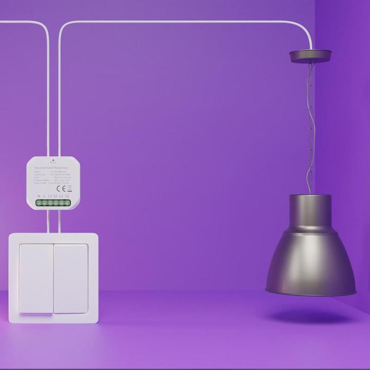 Tesla Solar TESLA Smart Home Smart Switch Module Dual Wi-Fi ...