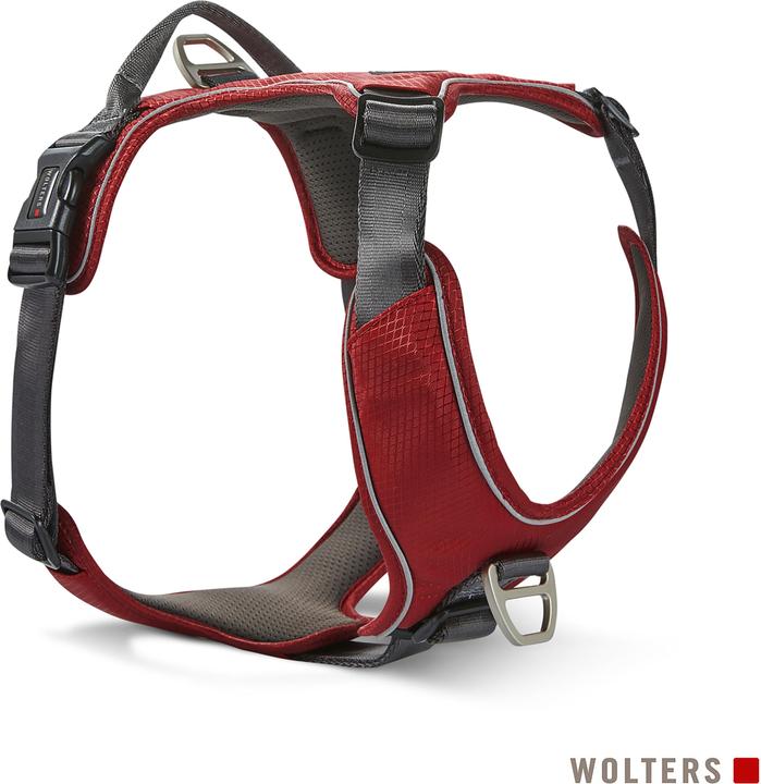 Wolters Active Pro Comfort Geschirr Gr.2 45-52 cm x 1,5 cm rot ...