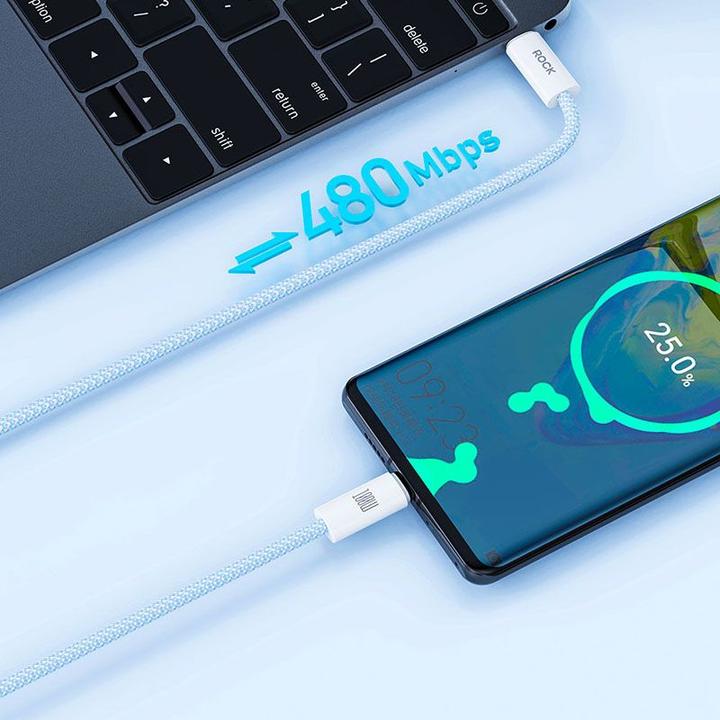 Rock Rainbow Series C TO L 27W Fast Charging Data Cable 2M Blue (2 m ...