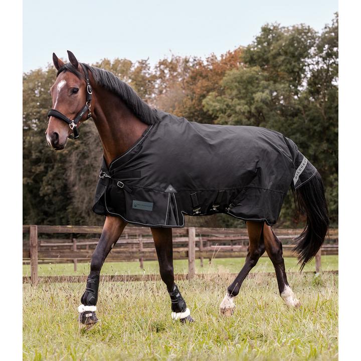 Waldhausen Scandic 150/50g - kaufen bei Galaxus