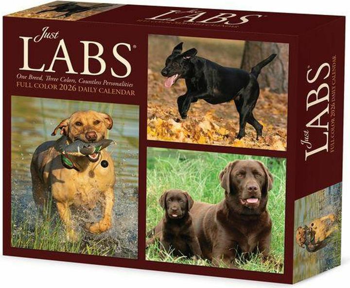 Willow Creek Press Just Labs 2026 Box Calendar - kaufen bei Digitec