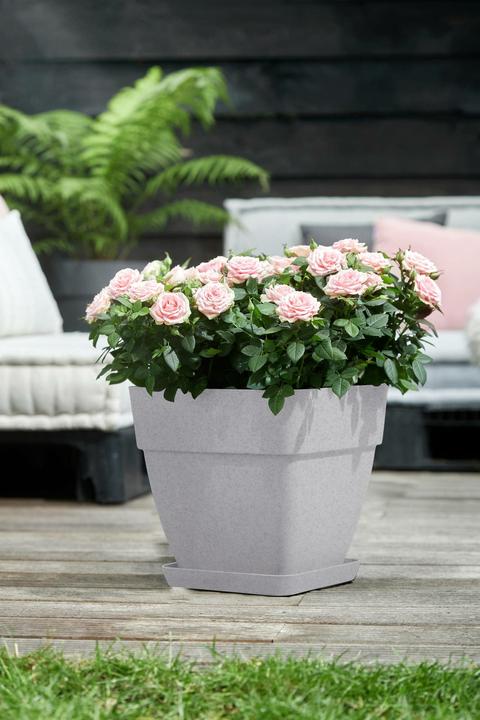 Elho Vibia Campana Quadrat - kaufen bei Galaxus