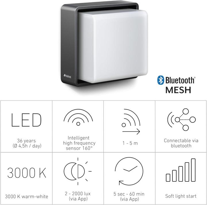 Steinel Sensor LED outdoor light - buy at Galaxus