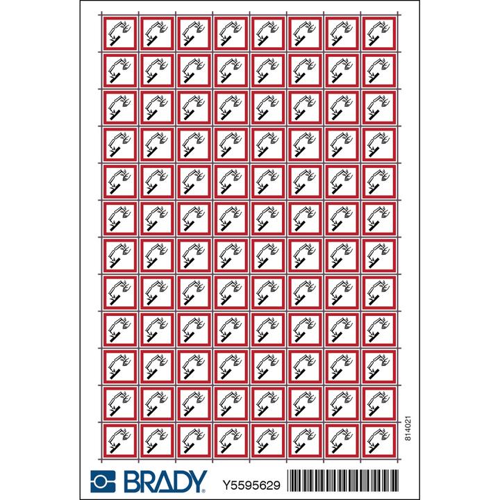 Brady Mini-pittogrammi per l'etichettatura delle merci pericolose - Galaxus