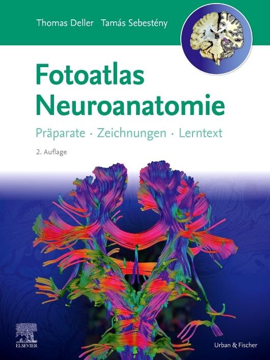Urban & Fischer Fotoatlas Neuroanatomie - kaufen bei Galaxus
