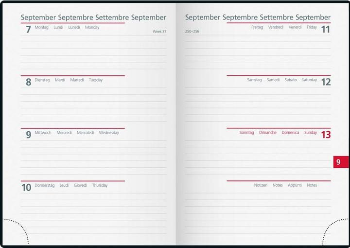 Simplex Ladytimer Linea 2026 40553.26 1W/2S Night ML 10x14cm - Digitec