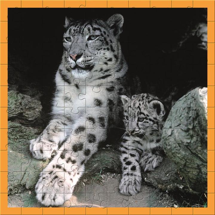 Merchant Ambassador Snow leopards - buy at Galaxus