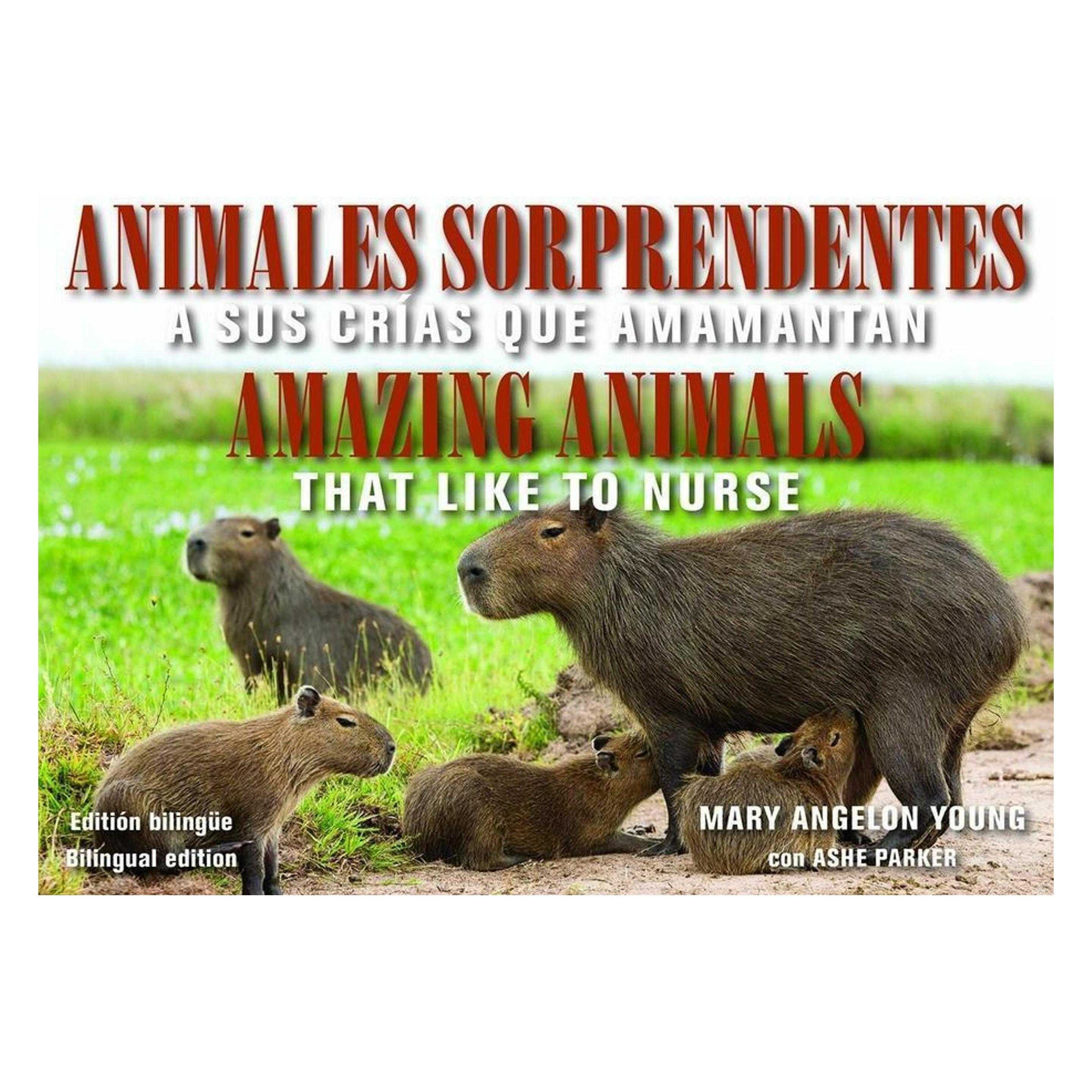 Hohm Press Animales Sorprendentes / Amazing Animals - English & Spanish ...