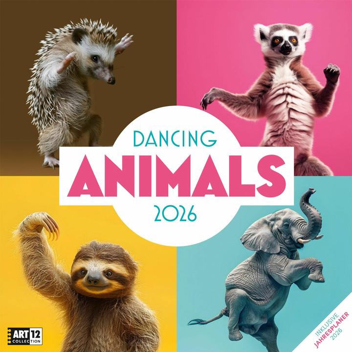 Ackermann Dancing Animals Kalender 2026 - kaufen bei Digitec