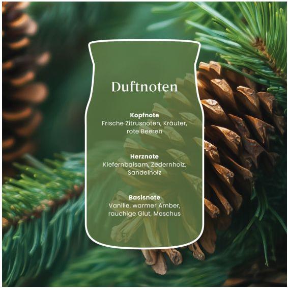 Yankee Candle Balsam & Cedar Fireside - kaufen bei Galaxus - Galaxus