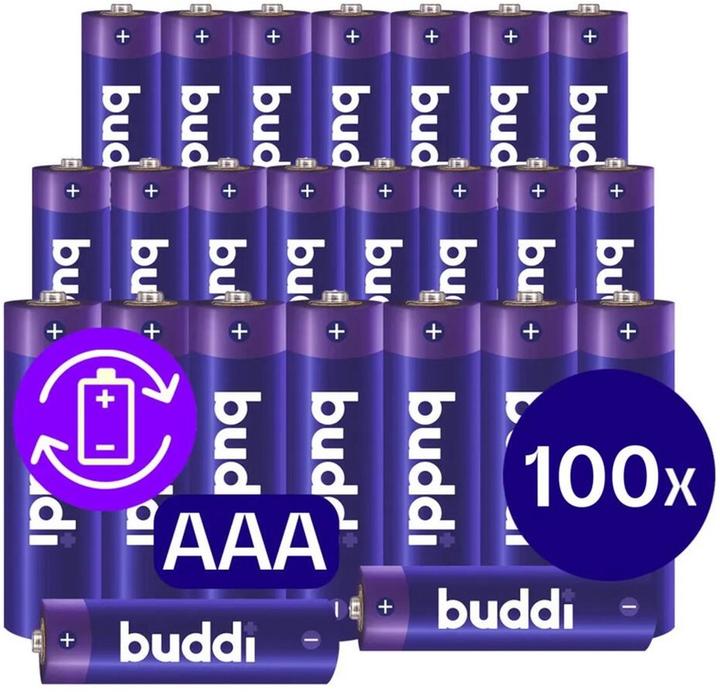 Die besten Buddi Batterien + Akkus 2025 auf digitec