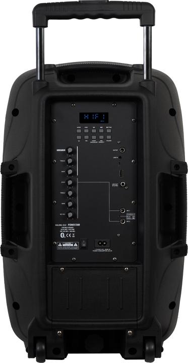 Fonestar Tragbare Bluetooth-Lautsprecher Malibu-312 Schwarz 250 W - Galaxus