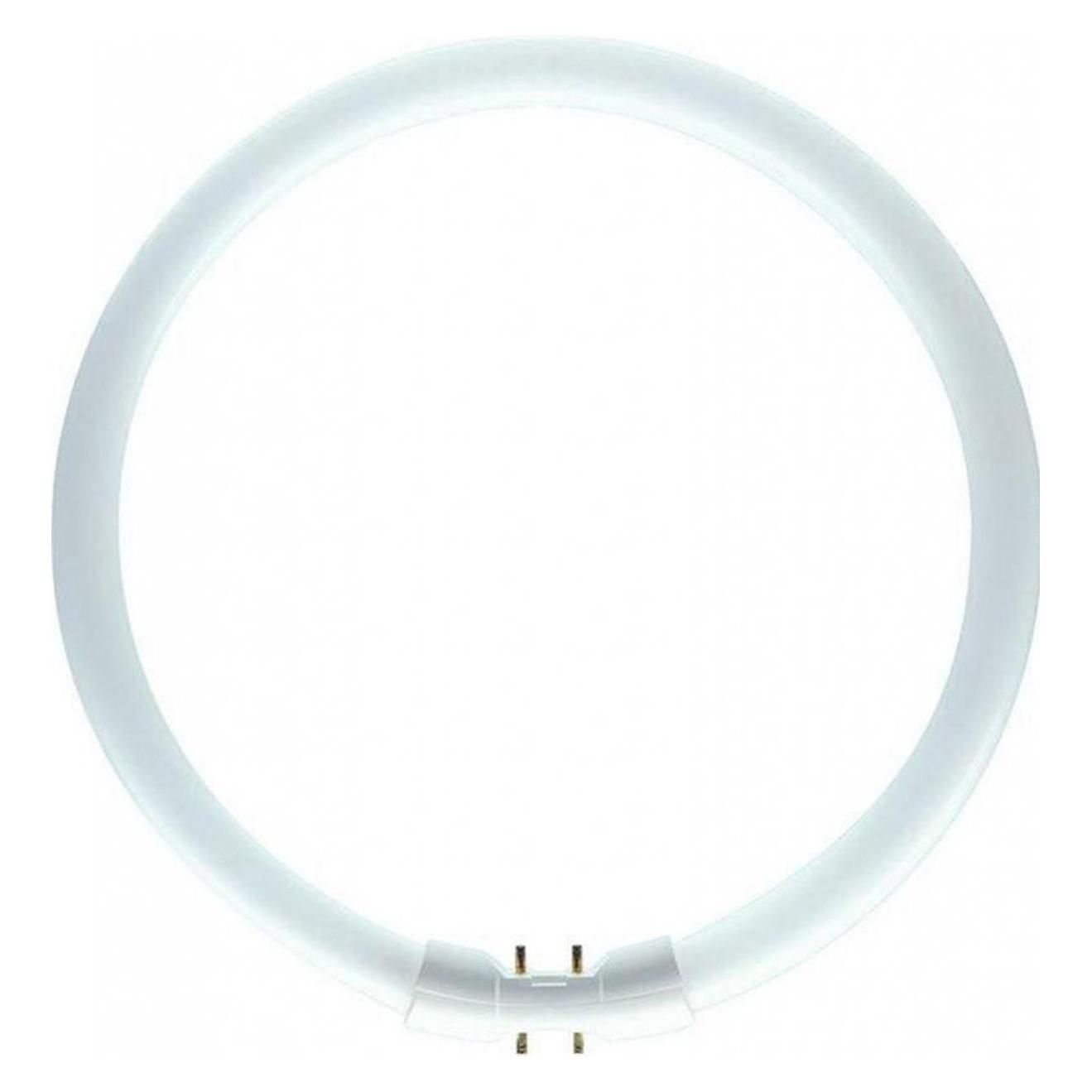 Philips Master TL5 Circular - kaufen bei Digitec - Digitec
