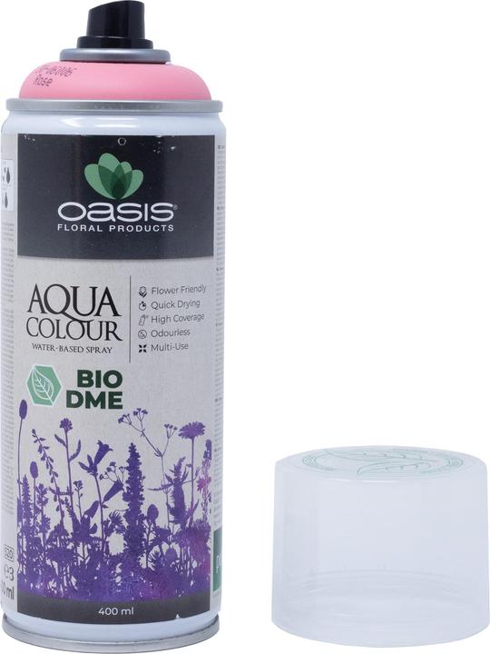 Smithers Oasis OASIS Aqua Colour Spray (400 ml) - kaufen bei Galaxus