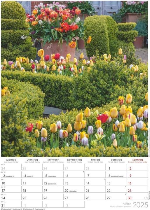 Alpha Edition Traumgärten 2025, 29,7x42cm, Bildkalender mit schönen ...