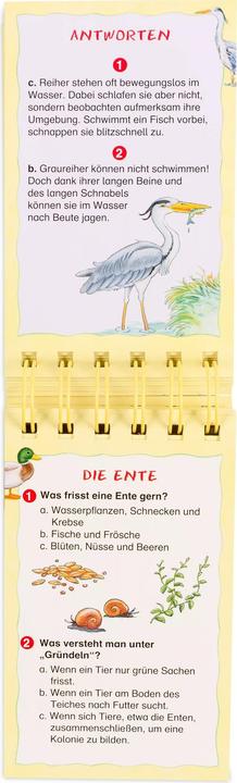 Arena Lernspiel Rate dich schlau! Die Ente und die Tiere am Fluss und ...