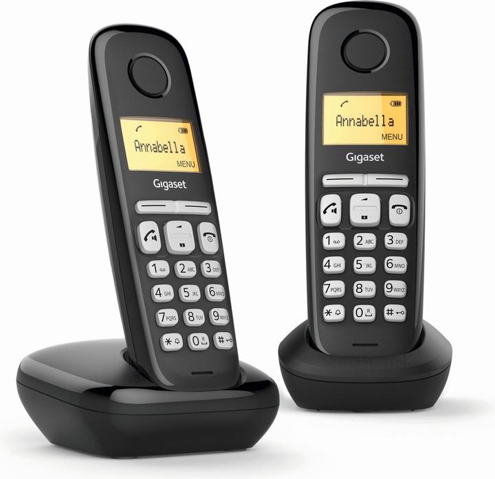 Gigaset A220 Duo v2 - Duo DECT telefoon - Simpel in gebruik ...