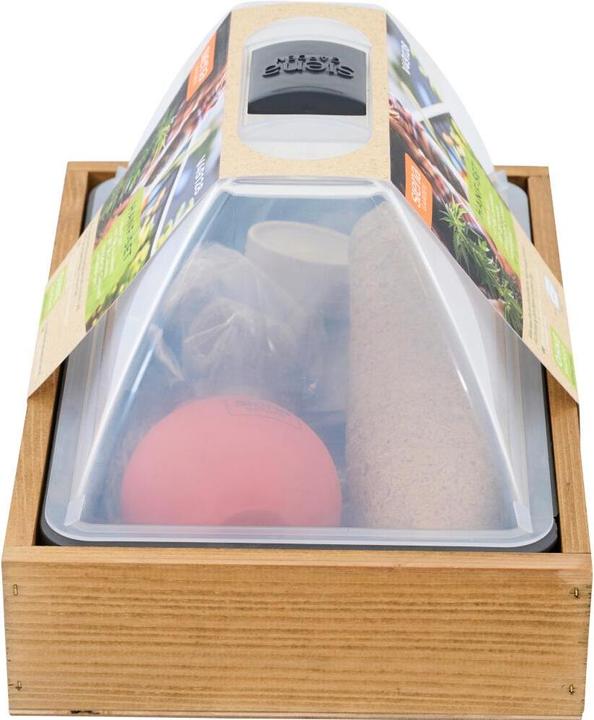 Siena Garden Hanf-Set Anzuchtset - kaufen bei Galaxus