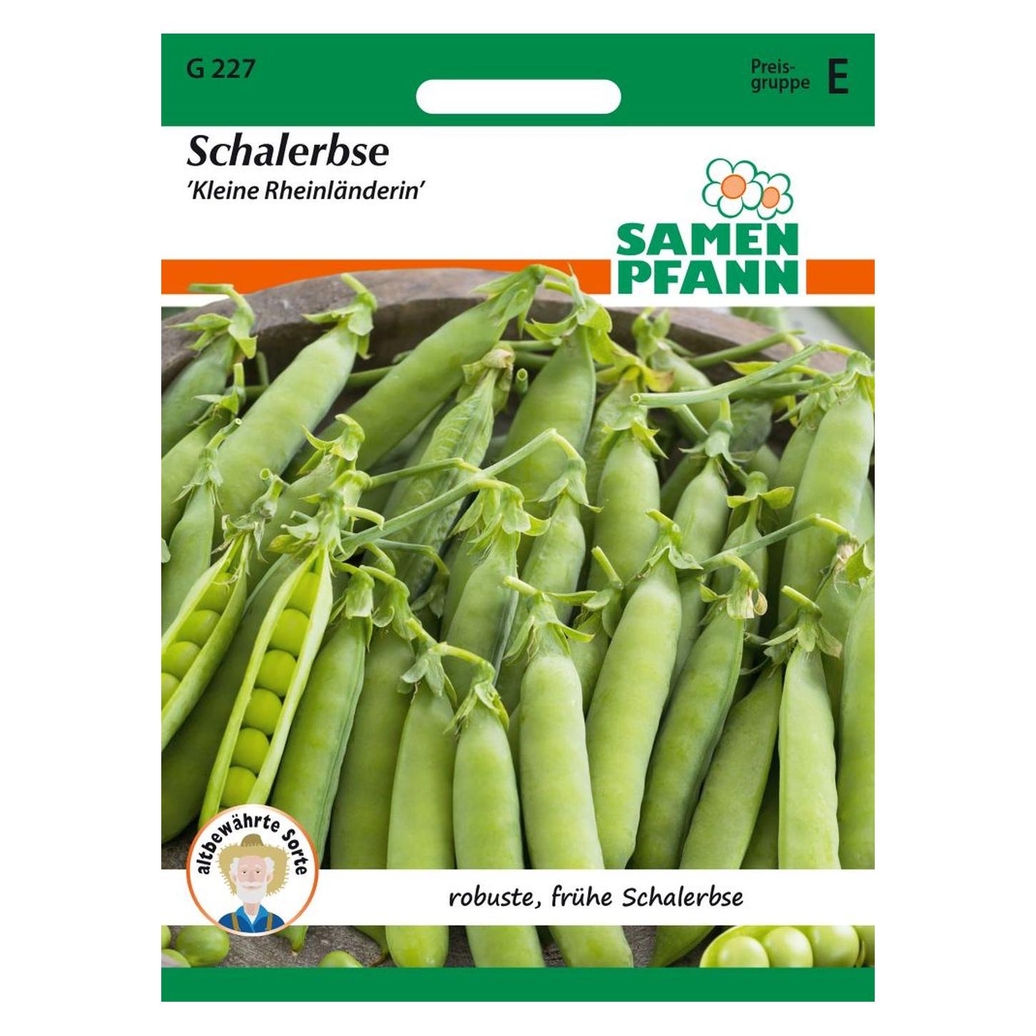 Samen Pfann Schalerbse, Kleine Rheinländerin - Gemüse-Samen Saatgut ...