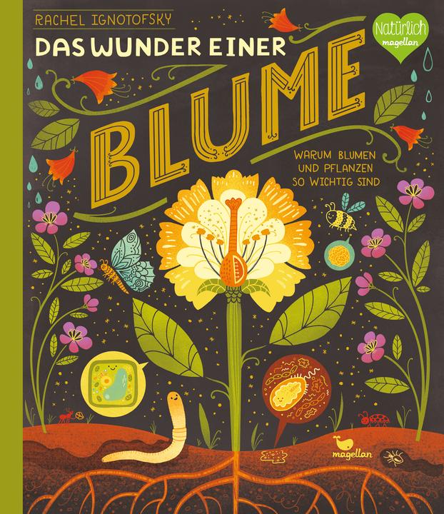 cornelia blume