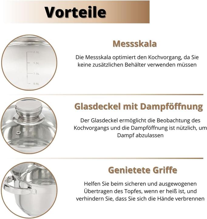 Daniks Edelstahl Kochtopf Induktion 20 cm mit Glasdeckel - Galaxus