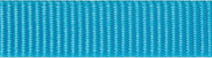 Red Dingo Dog lead Turquoise 2 cm x 2m (M, Dog) - buy at Galaxus