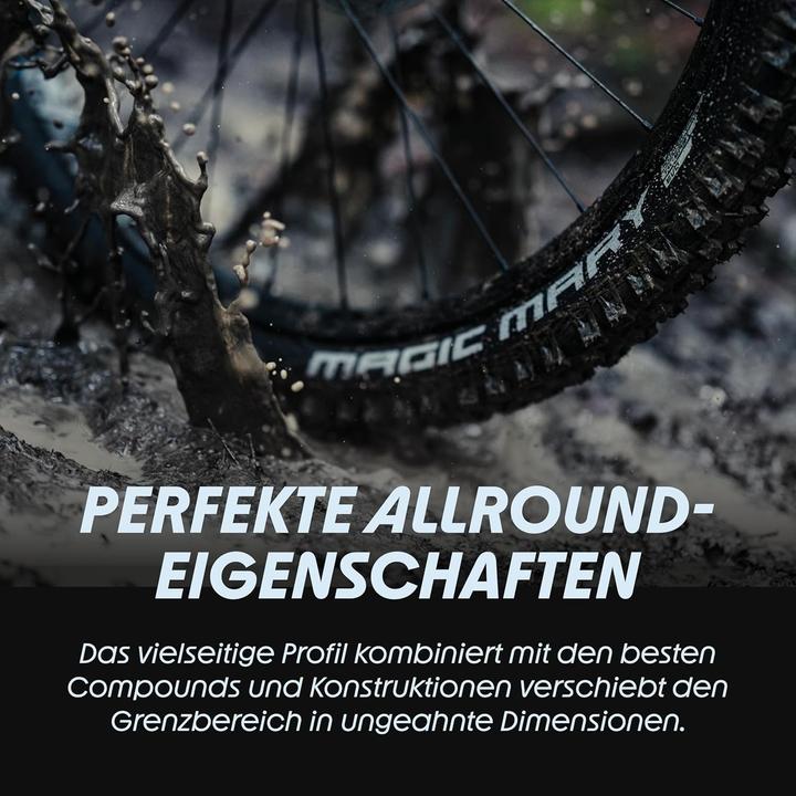 Schwalbe Magic Mary (65-622) - buy at Galaxus