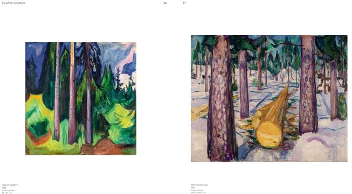 Hatje Cantz Northern Lights - kaufen bei Galaxus