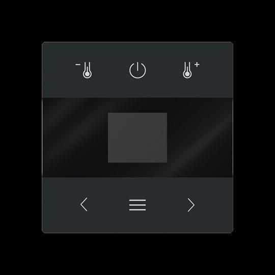 Busch-Jaeger Disco centrale - acquista su Digitec