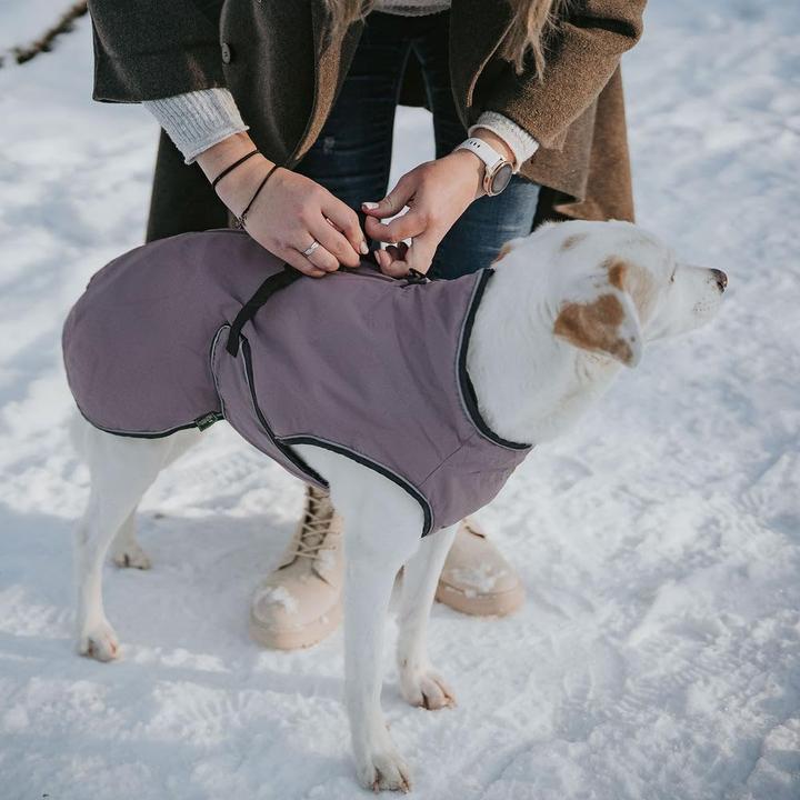 Hunter Hundemantel Uppsala - kaufen bei Galaxus - Galaxus