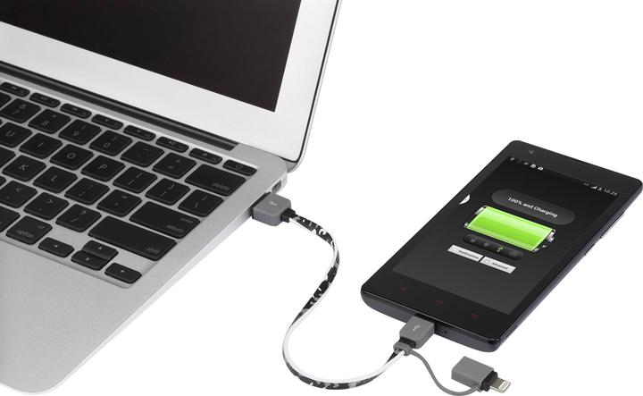 Renkforce Micro USB/Lightning 2-in-1 Charge & Sync Cable 0.2 m - Galaxus