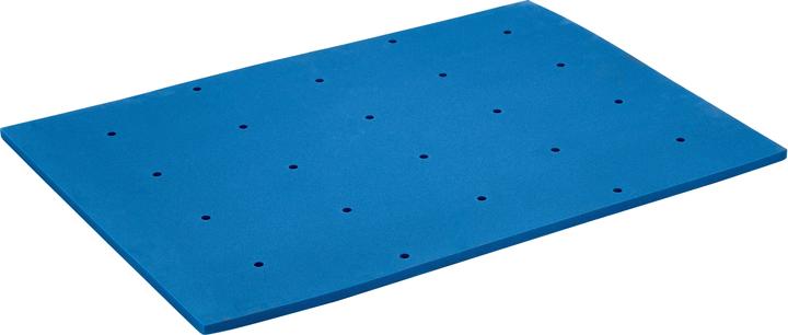 Sport-Thieme Hole raft - buy at Galaxus