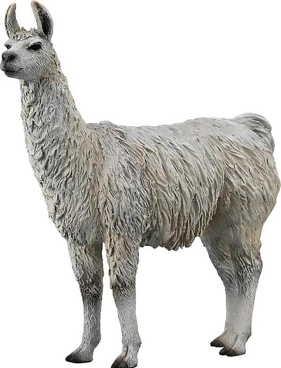 Collecta Lama - kaufen bei Galaxus - Galaxus
