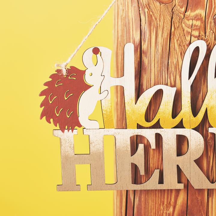 VBS Holzschild "Hallo Herbst" - kaufen bei Galaxus - Galaxus