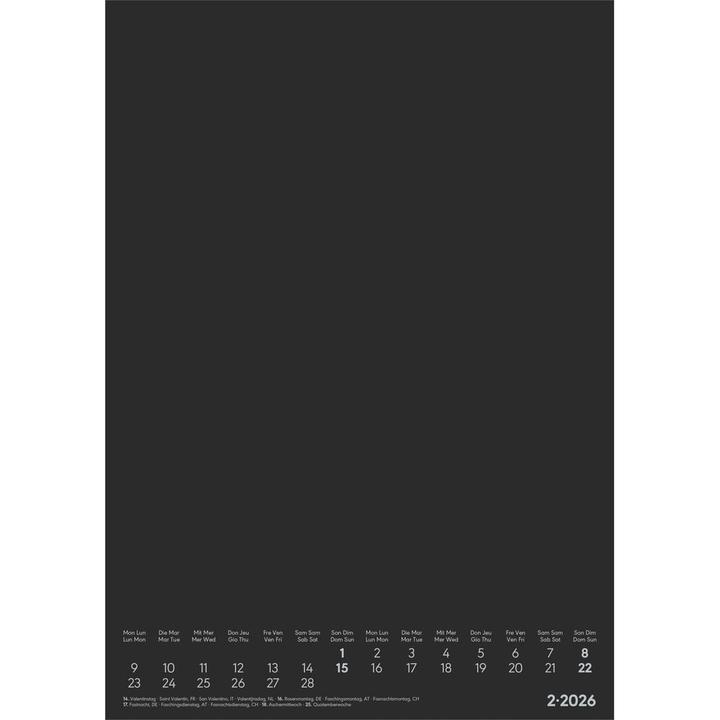 Alpha Edition Bastelkalender 2026 A4 schwarz - buy at Digitec