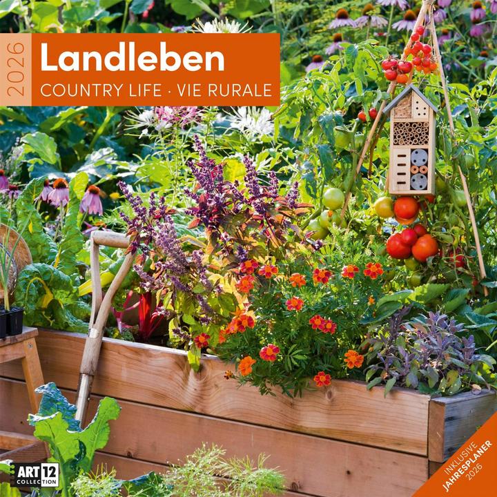Ackermann Landleben Kalender 2026 - 30x30 - kaufen bei Digitec