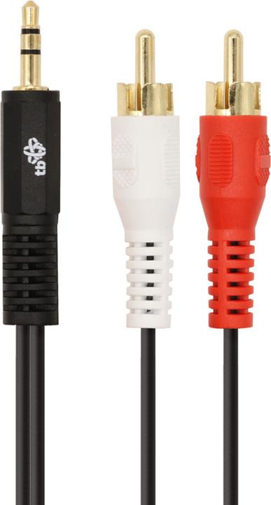 Lenovo !Cable 3,5mm MiniJack -2x RCA M/M 1,5m (AKXAJ2RCA150B) - Galaxus