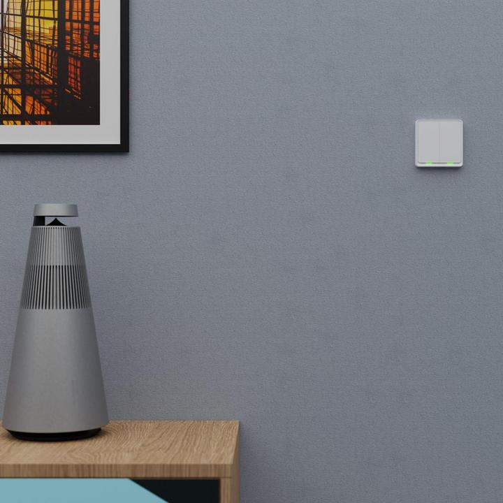 Tesla Solar TESLA Smart Home Smart Switch Dual Battery Zigbee