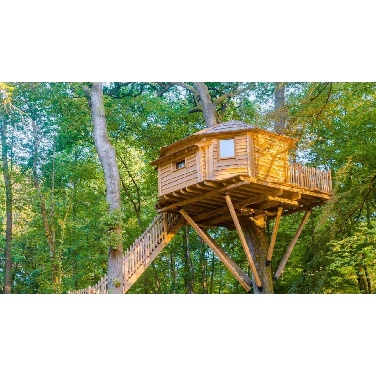 Gutschein, Baumhaus-Übernachtung - kaufen bei Galaxus