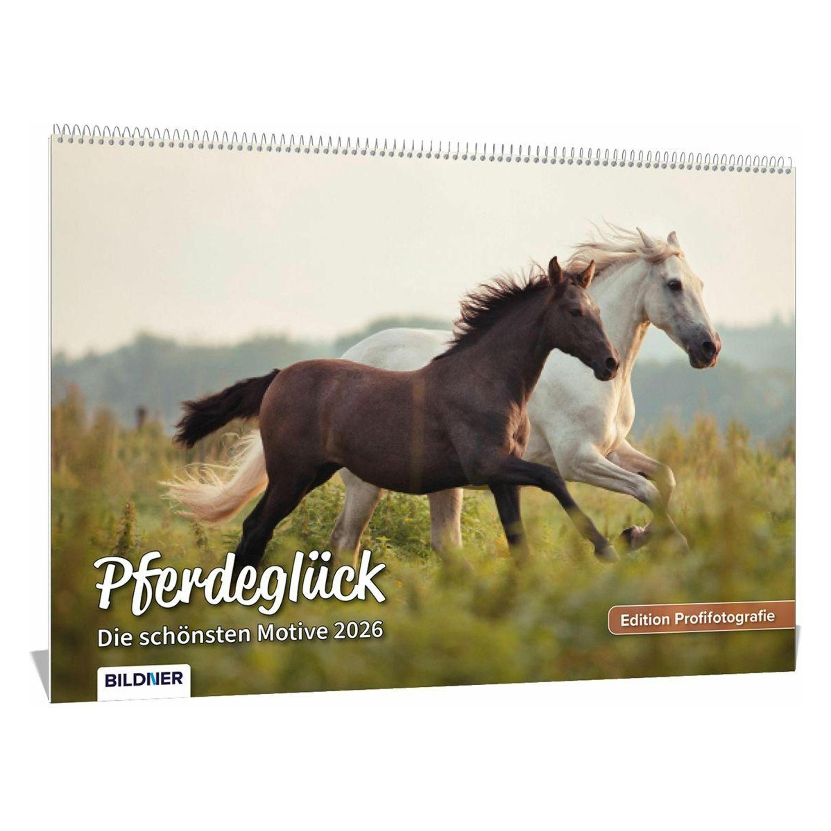 Bildner Pferde Kalender 2026 Pferdeglück! Die schönsten Pferdemotive ...
