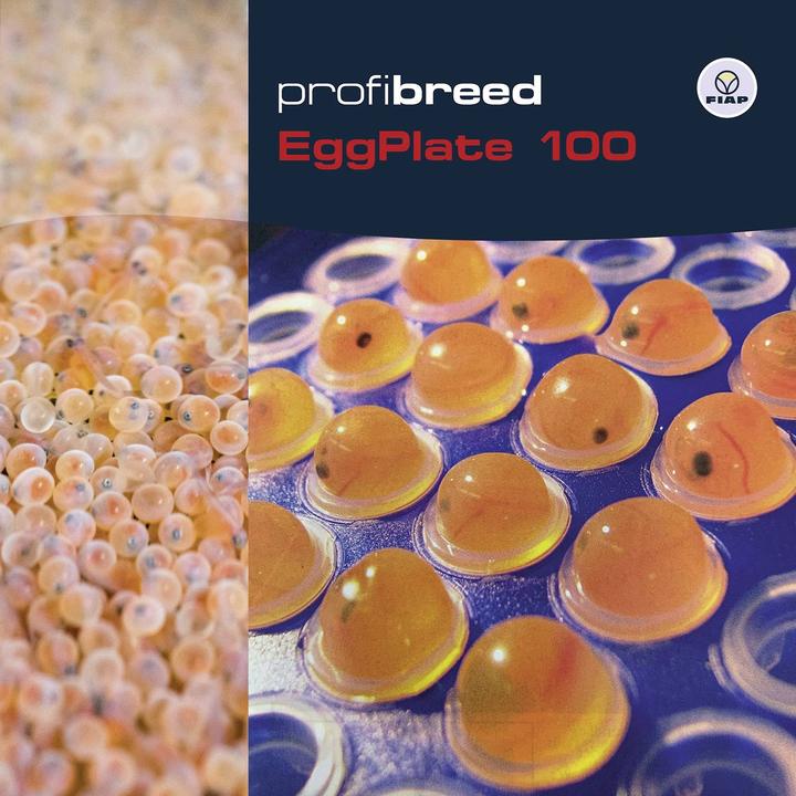 Fiap profibreed EggPlate 100 - Fischeier Zählplatte - Galaxus