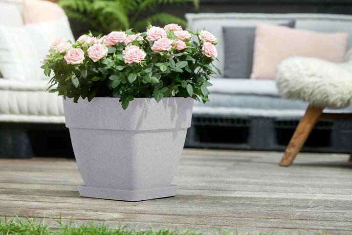 Elho Vibia Campana Quadrat - kaufen bei Galaxus