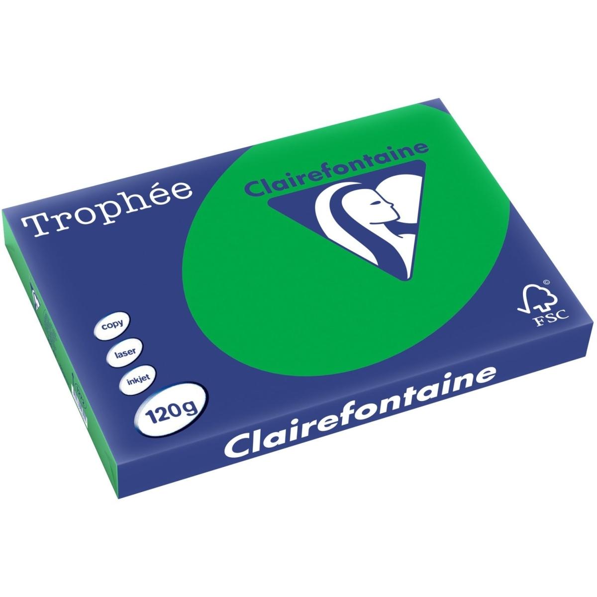 Clairefontaine Copy paper Trophee A3 120g/sqm PU=250 sheets billiard ...
