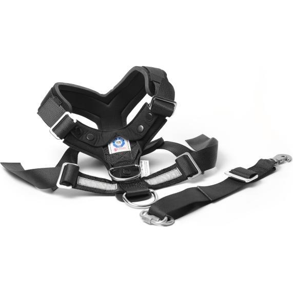 MIMsafe Mim - Allsafe Medium 15-30kg Car harness - crash-tested - Galaxus